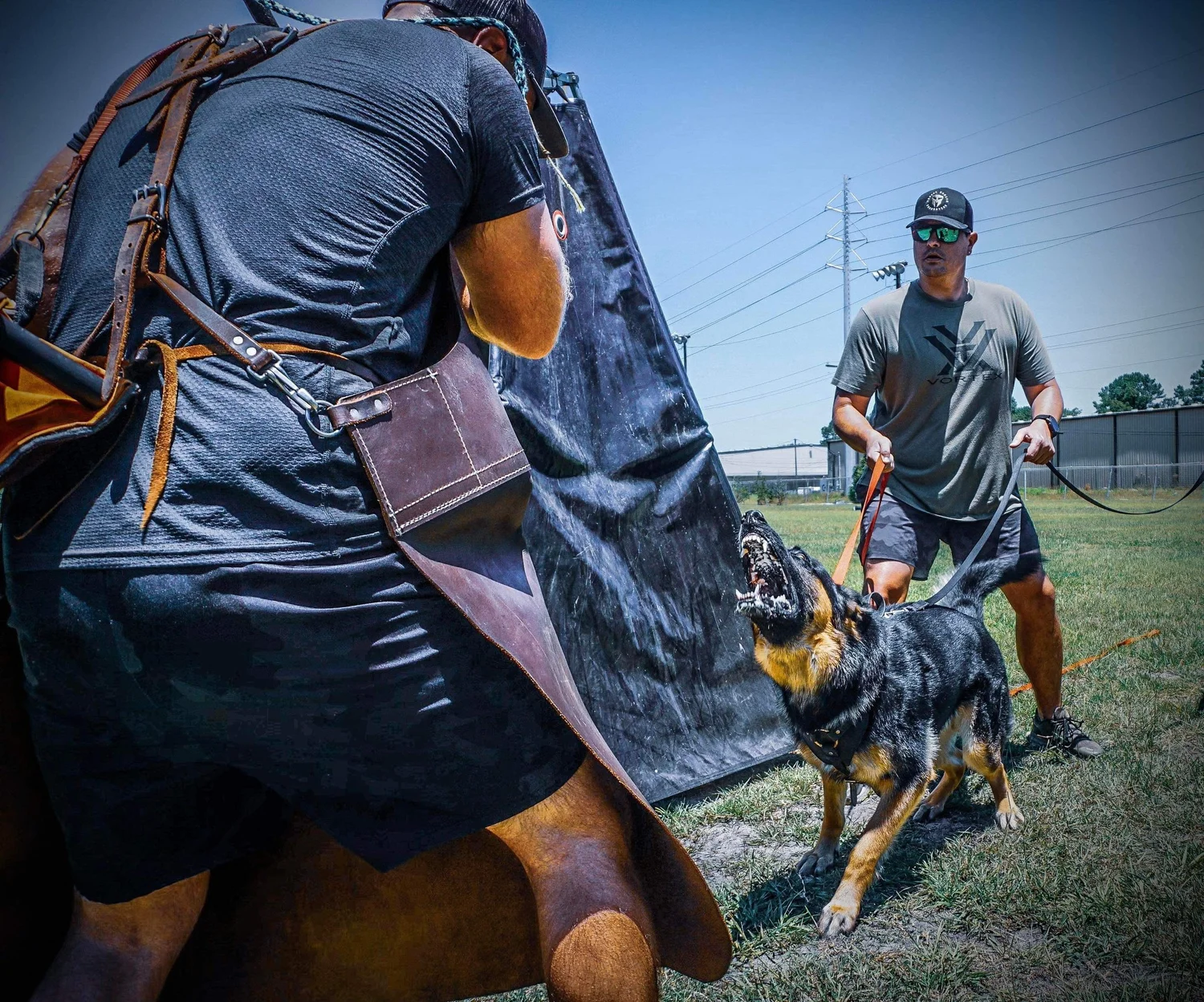 Charleston Working Dog Club