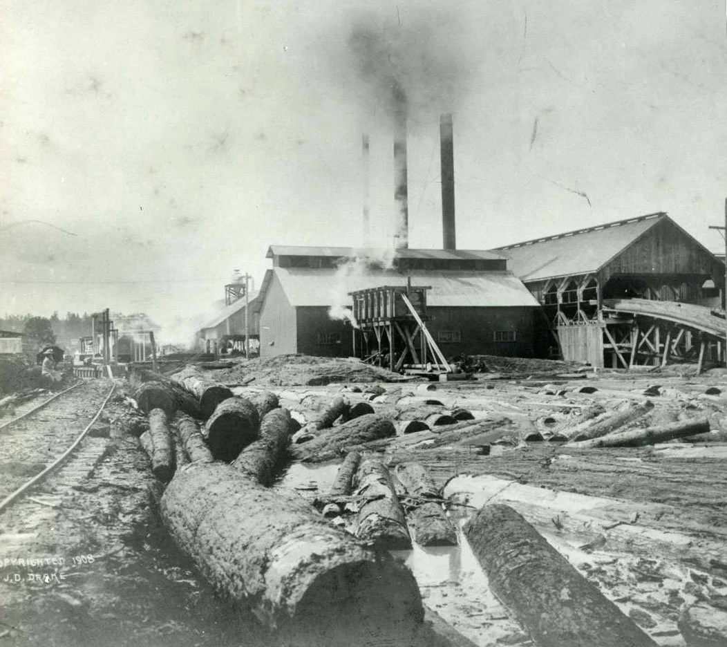 Our Story — Schmitz Timber Management