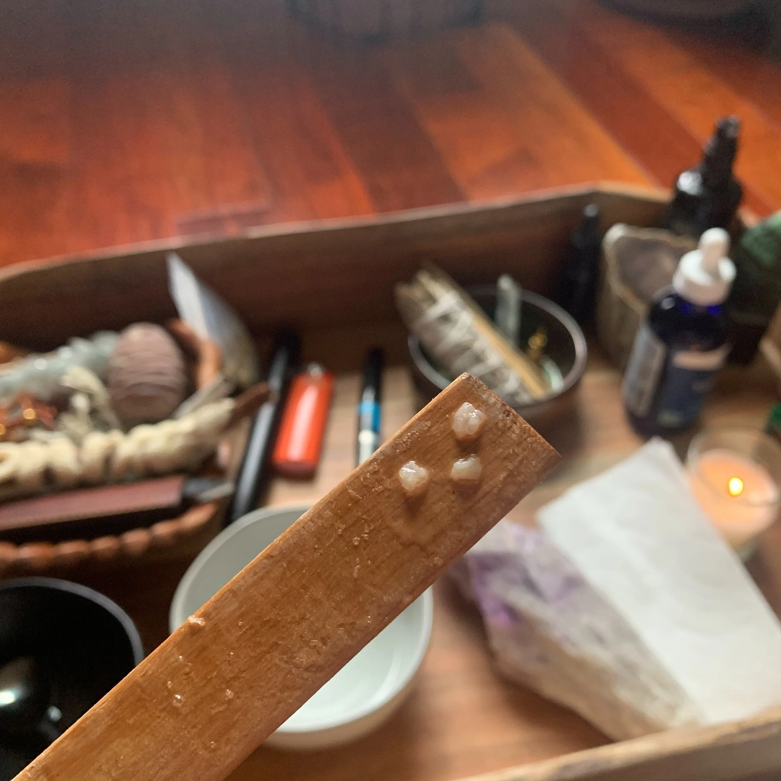 Happy Kambo | Utah Kambo Sessions