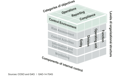 Assessing Control Environment in Audits — Parker CPE