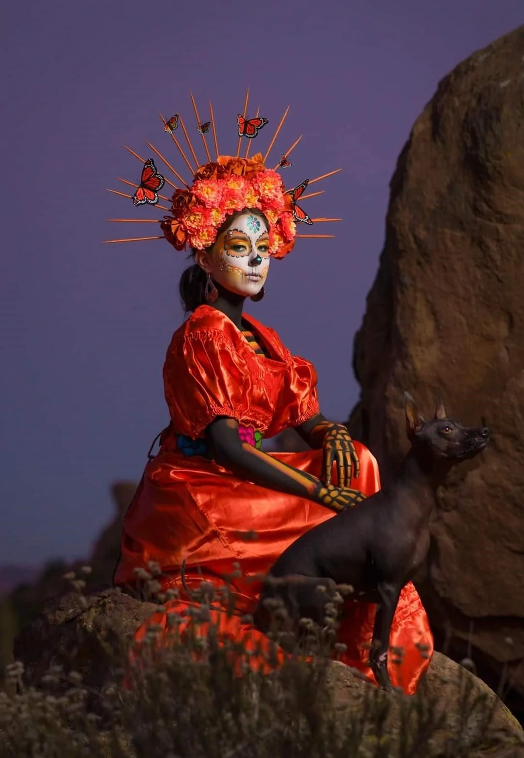 About Xolos — Xoloitzcuintli Club of America