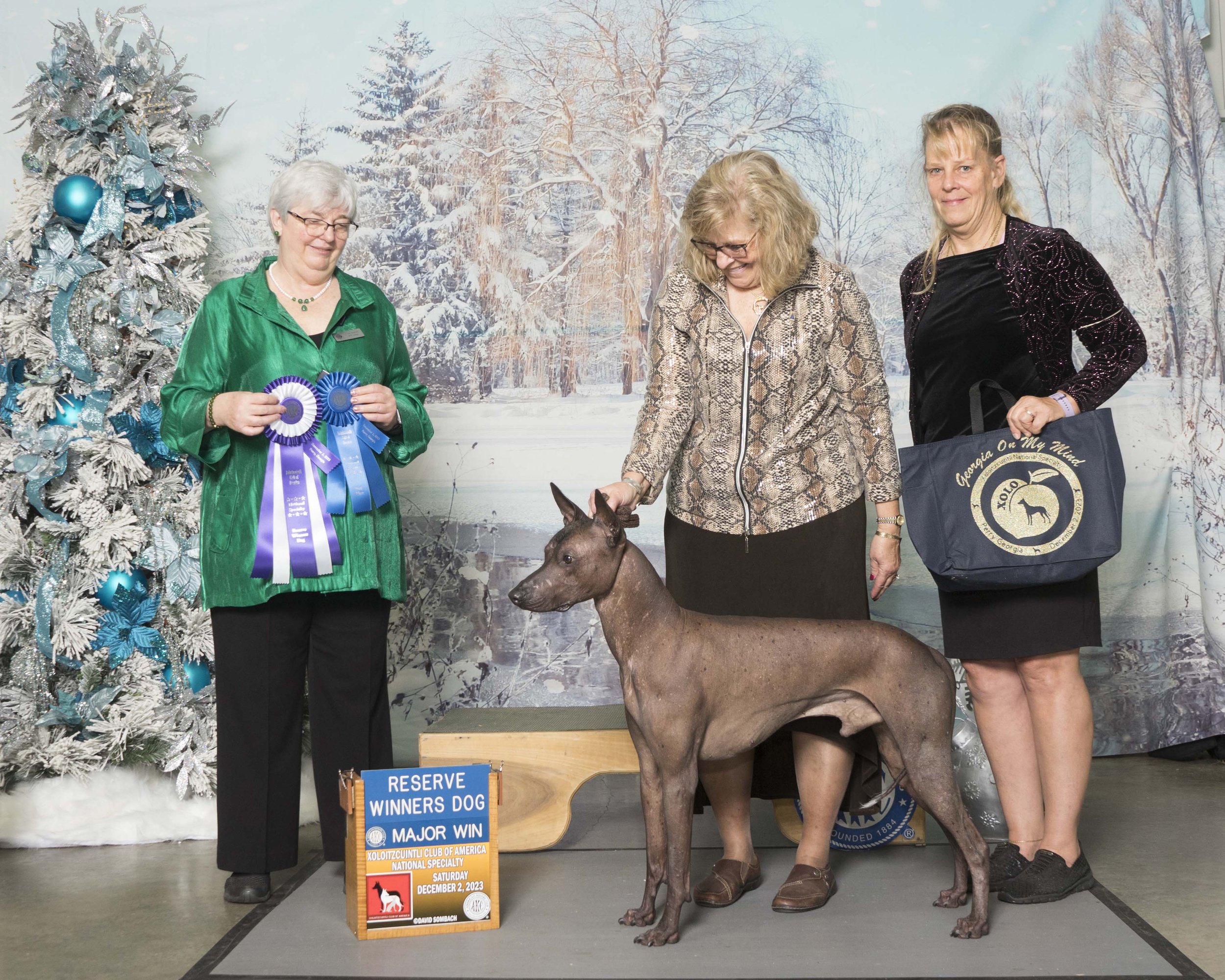 2023 National Specialty Winners — Xoloitzcuintli Club of America