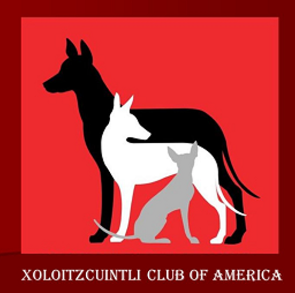 About Xolos — Xoloitzcuintli Club of America