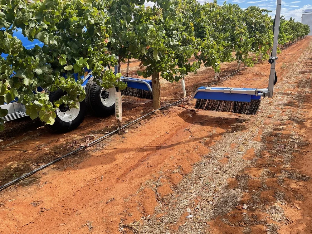 ideal 2/3 Row Vineyard Sprayer — Ideal Sprayers