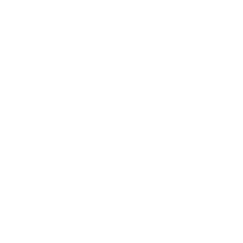 Future Skills Organisation