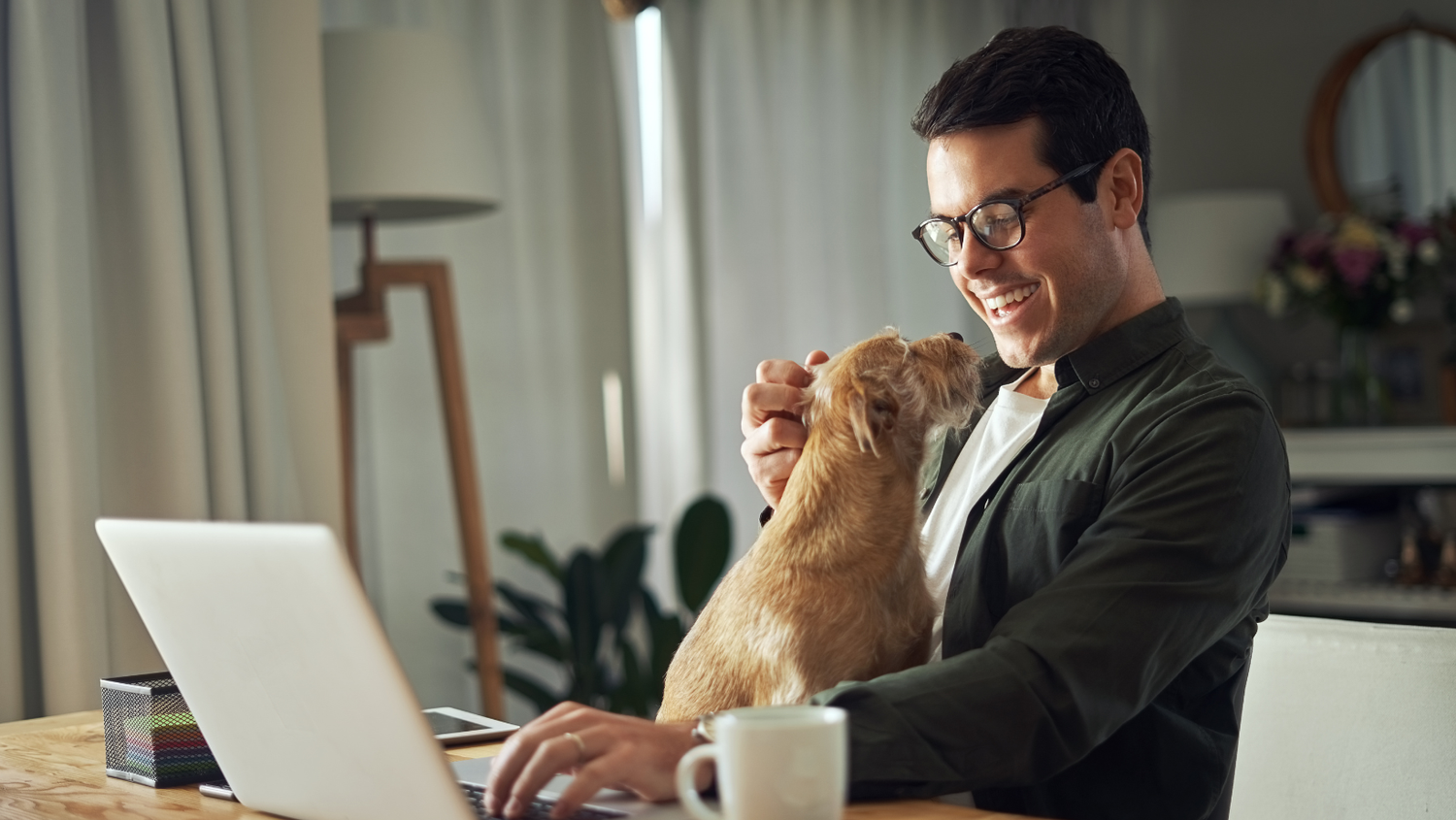 Membership for Dog Professionals — The Dog Trainer School