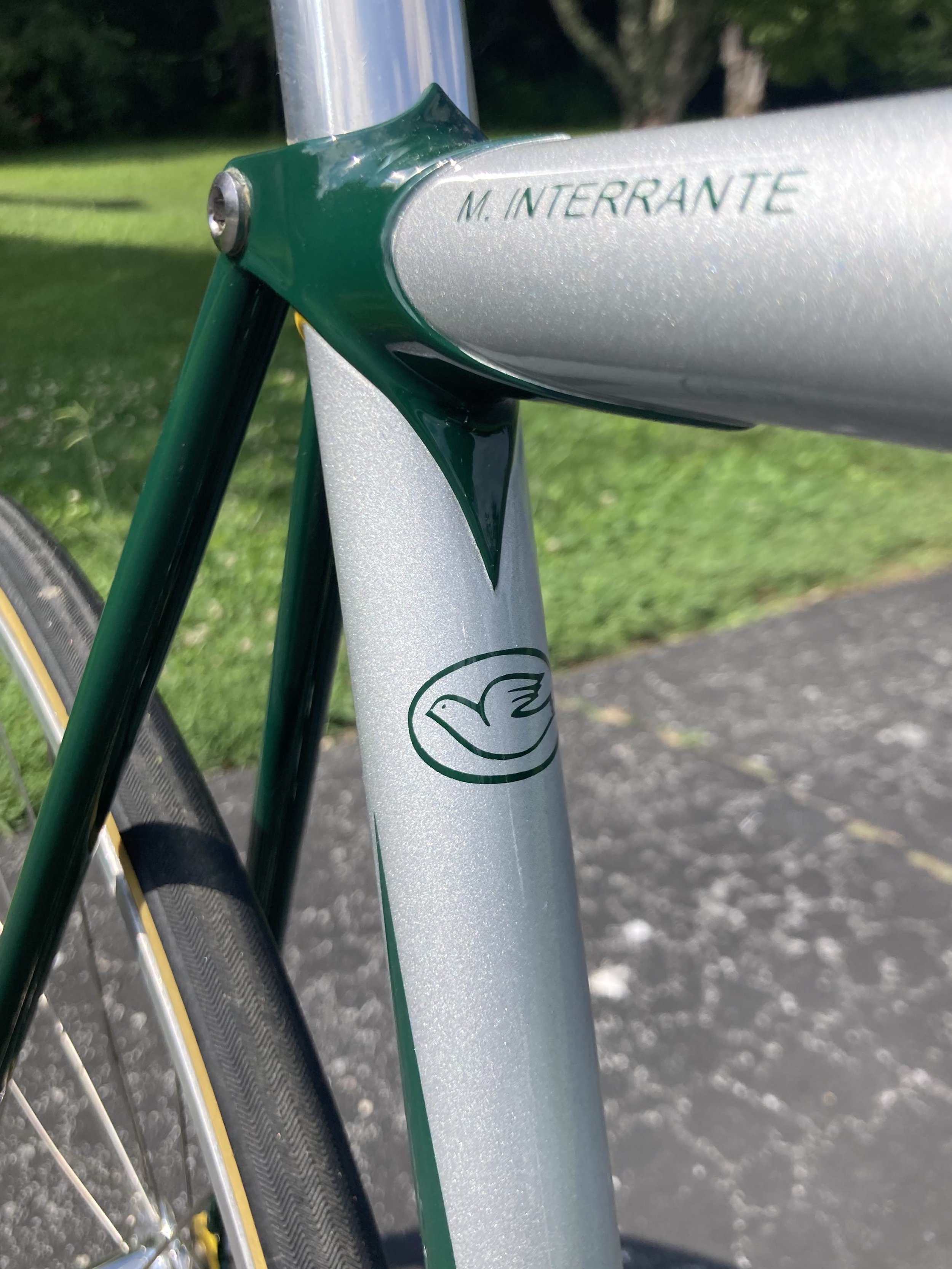 British Racing green track — Dogwood Cycleworx