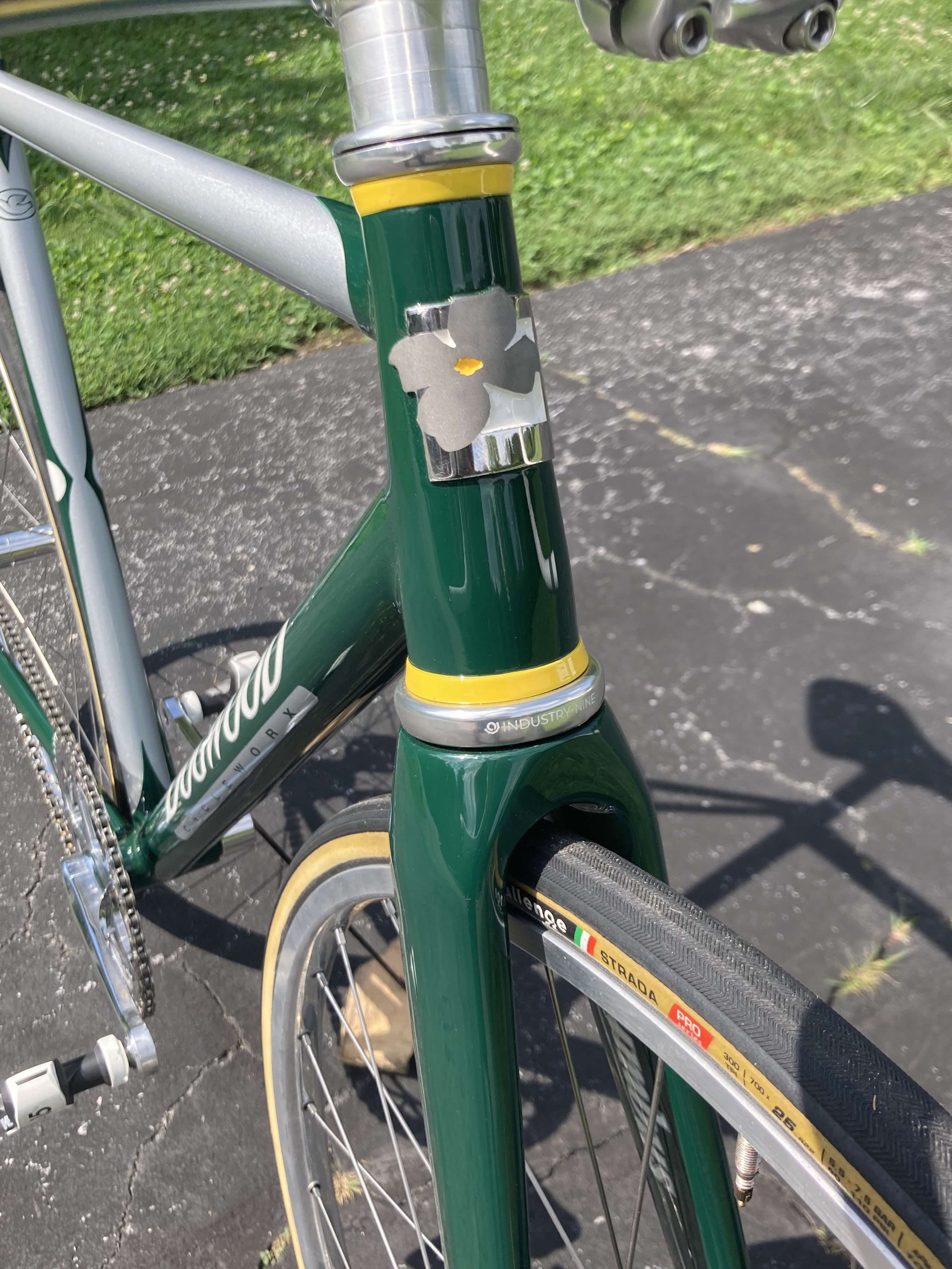 British Racing green track — Dogwood Cycleworx