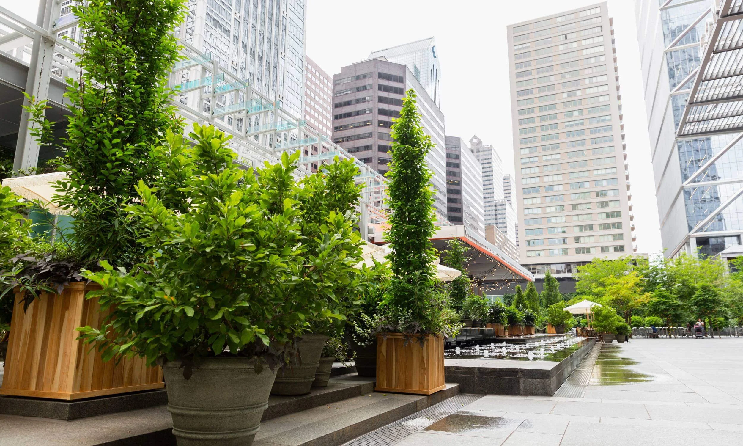 Comcast Headquarters | Brooklyn, NY Landscape Designer | Urbangreen ...