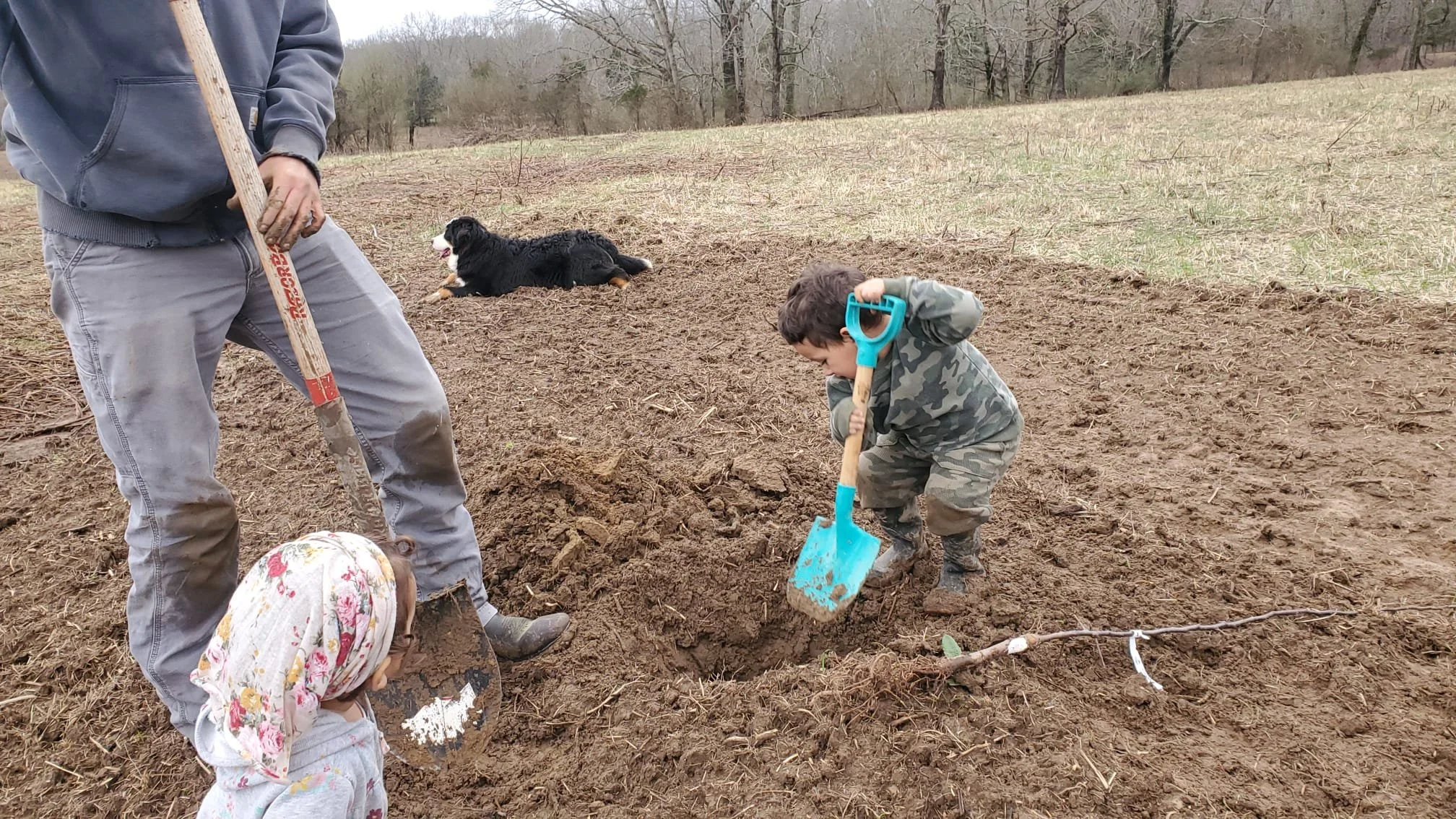 About | Multi-Generational Farm | Spring City, TN — Good Measure Farms