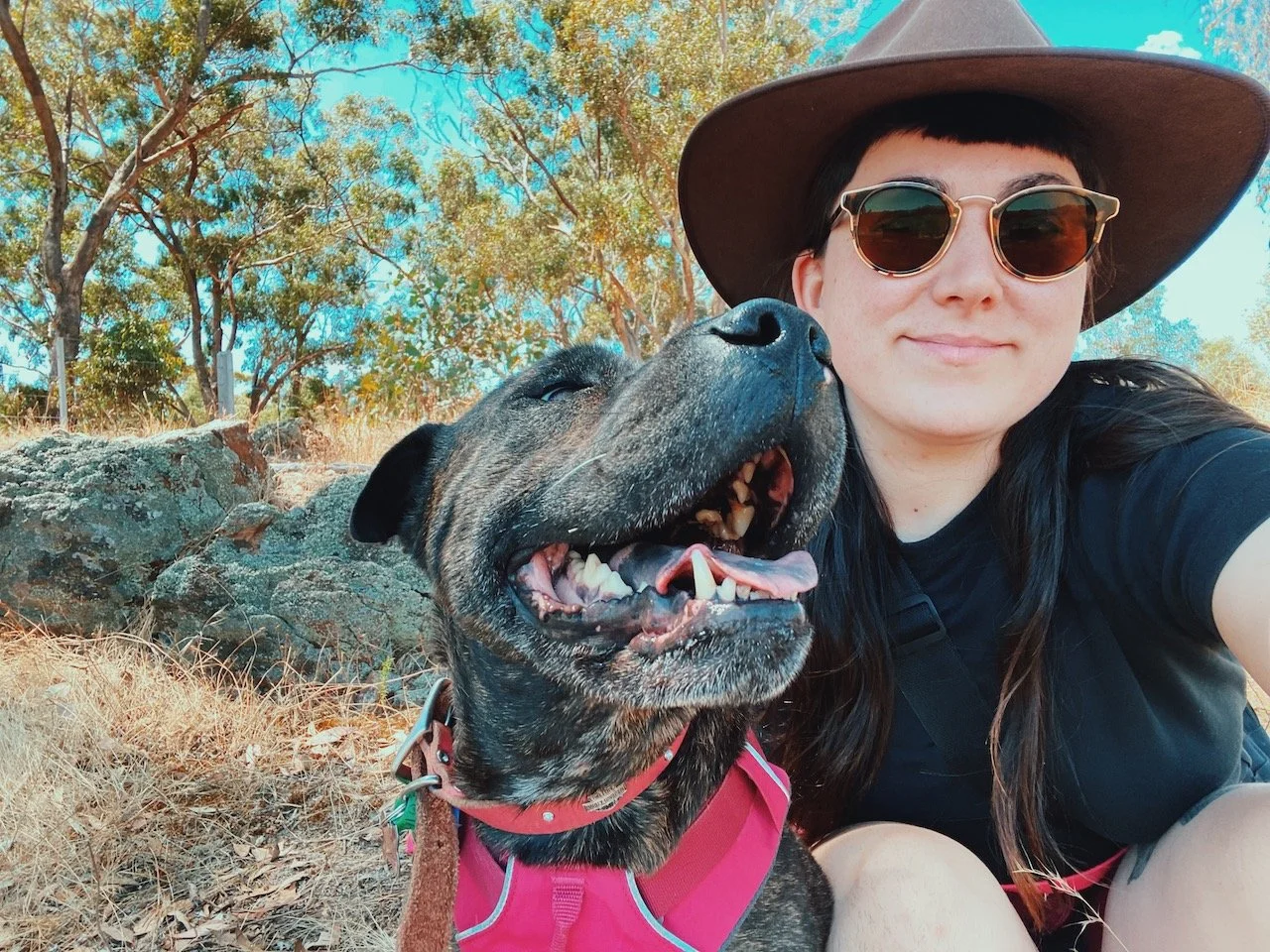 Dig Dog Training: Compassionate and effective dog training Castlemaine