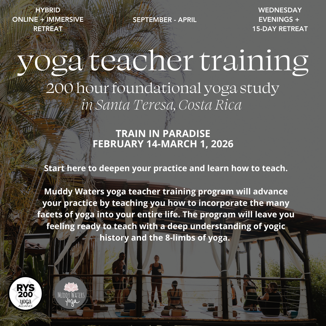 Blog 3 — Muddy Waters Yoga Studio