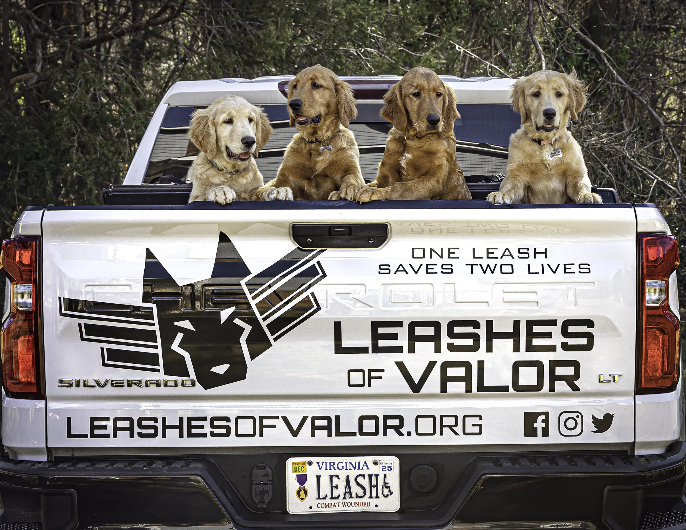 Leashes of Valor: Saving Lives, One Leash at a Time — FXBG Neighbors