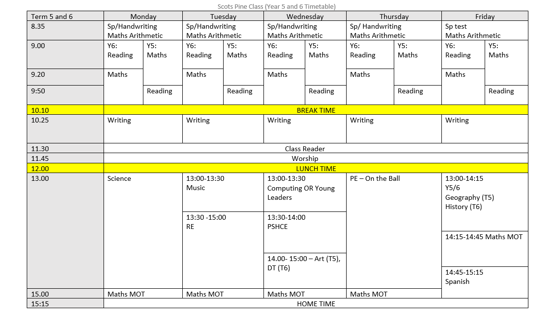 Scots Pine Class | Cold Aston Primary School