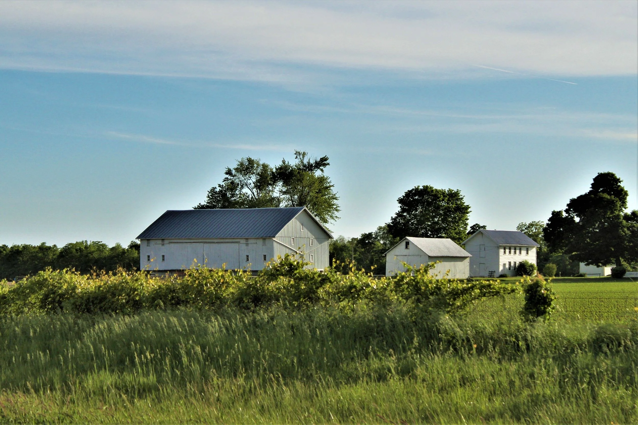 Tennessee Farmers Cooperative Foundation