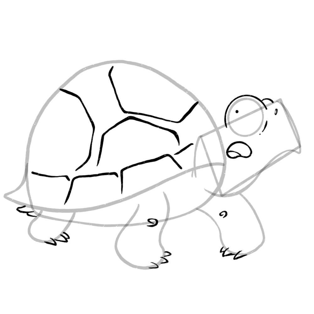 How to draw a turtle — DoofyDoodles