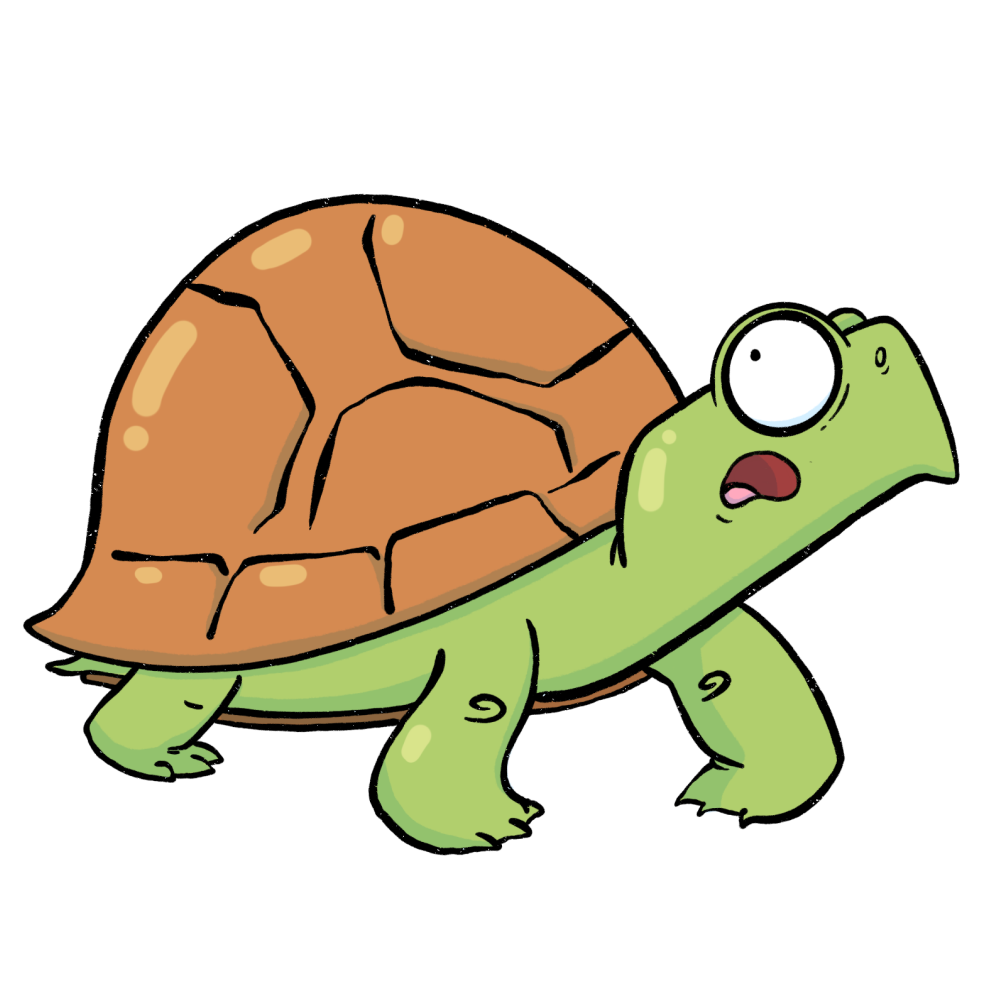 How to draw a turtle — DoofyDoodles