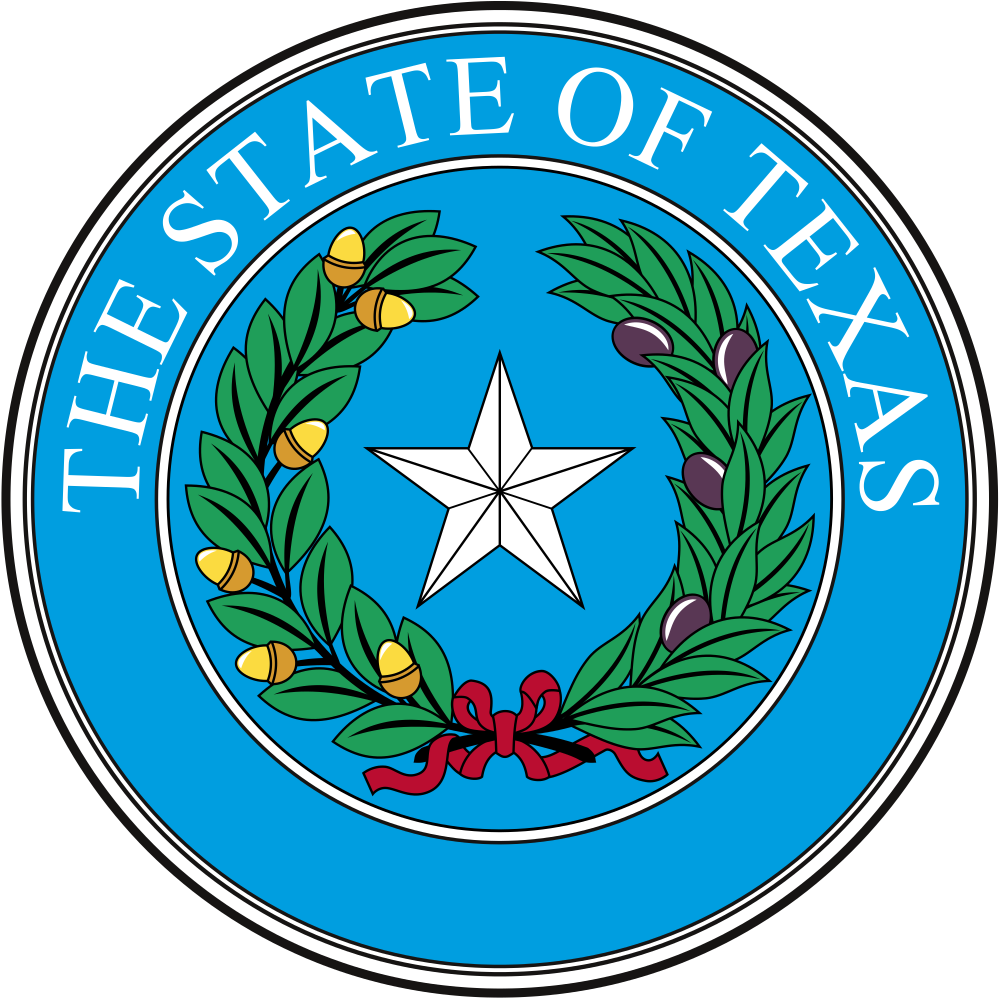 An Overview of Texas’s 2025 Elections — Ballot Builder – Nonpartisan ...