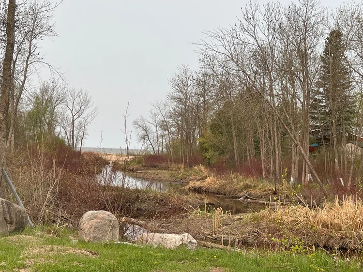 Lester — Beaches of 59