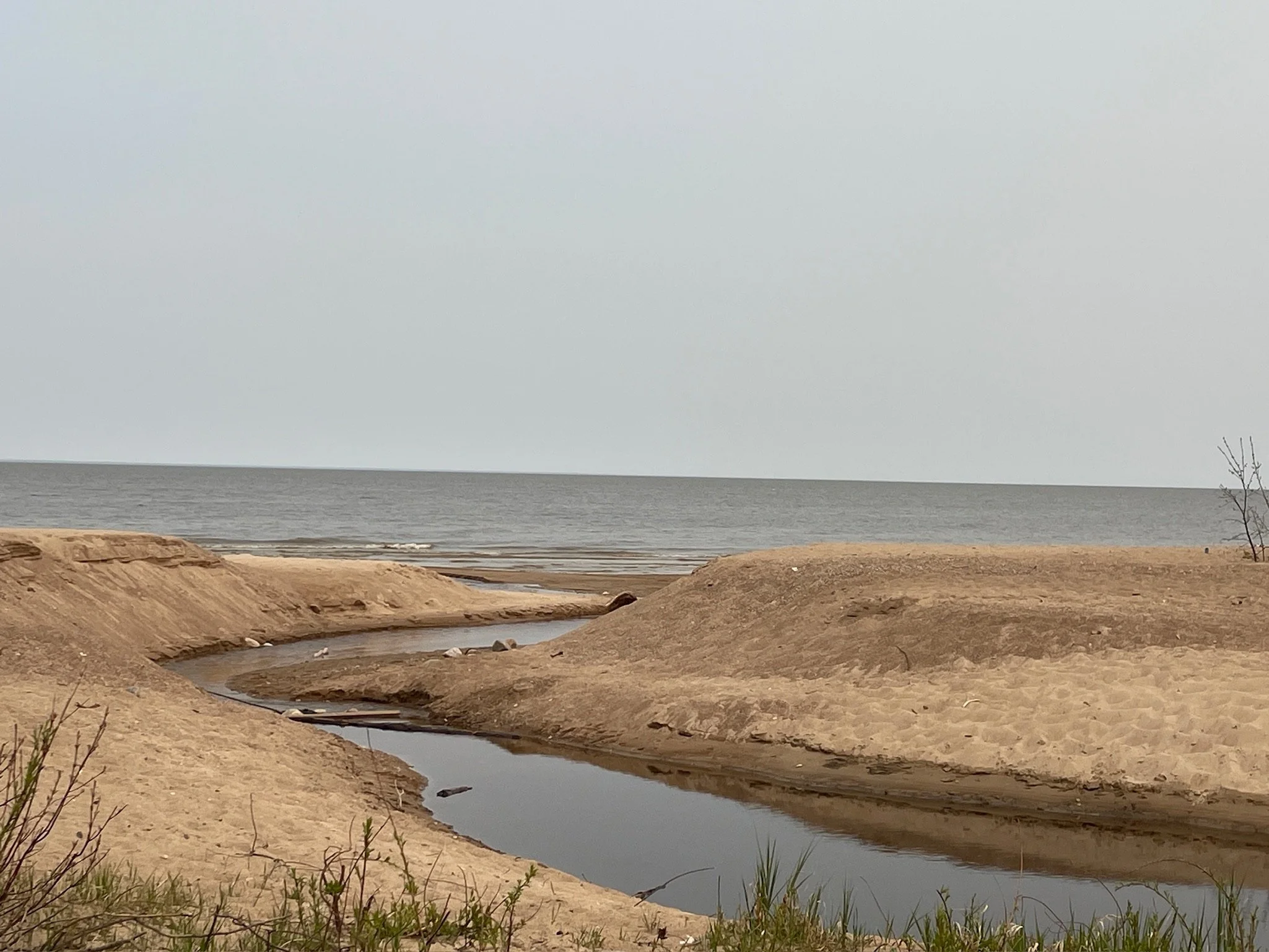 Lester — Beaches of 59