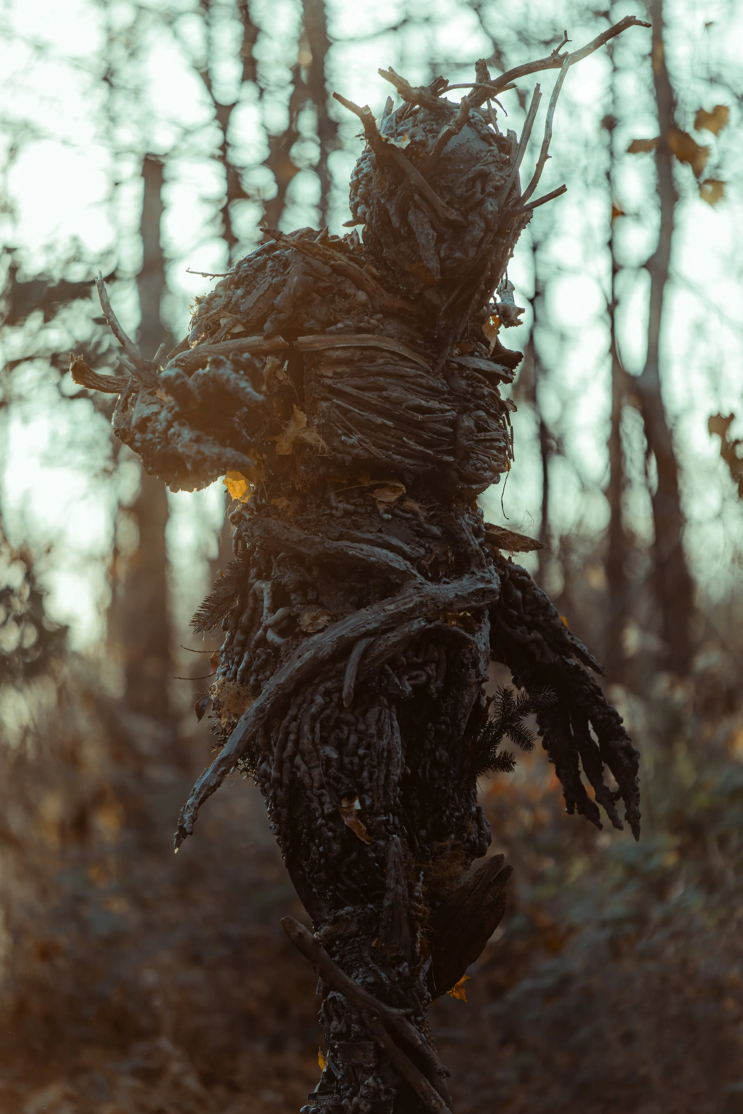 Portfolio — SIDD SURESH