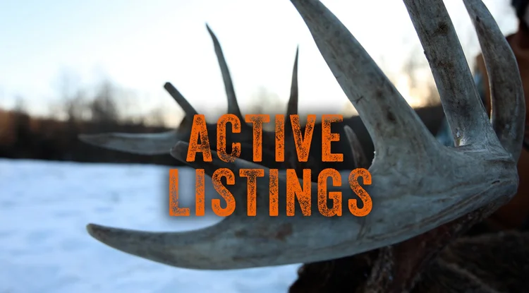 Legacy Acres Land Co. | Explore Prime Hunting Land – Start Your Legacy