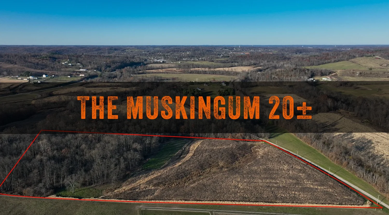 Legacy Acres Land Co. | Explore Prime Hunting Land – Start Your Legacy