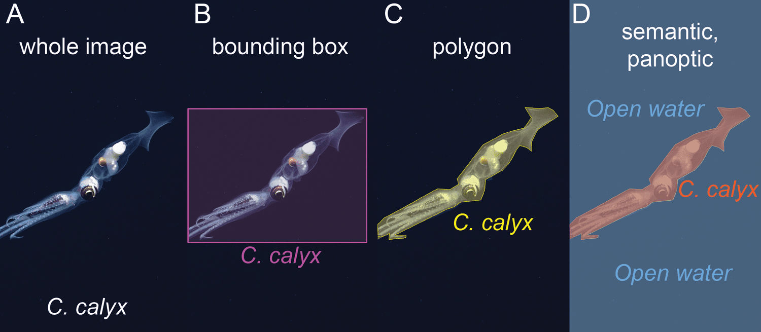 Research — Hein Lab