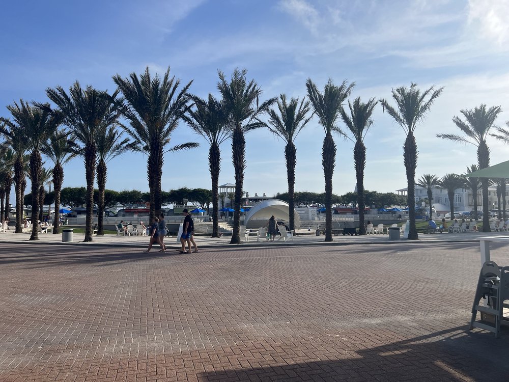 Our Story — Palm Tree Paradise 30a