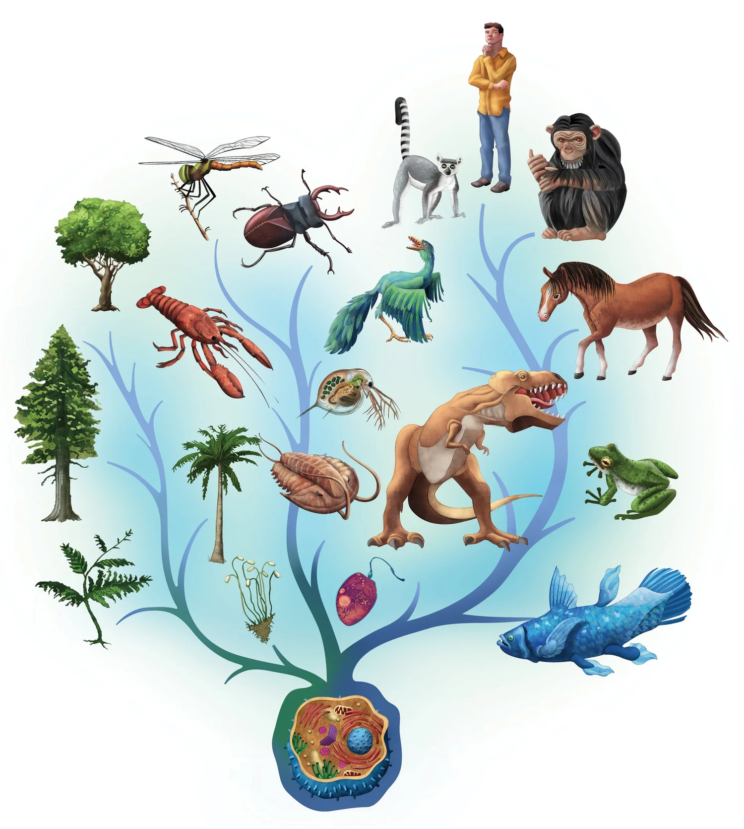 ¿Qué es evolución? — Breve Historia de 4 Mil Millones de Años, Todo ...