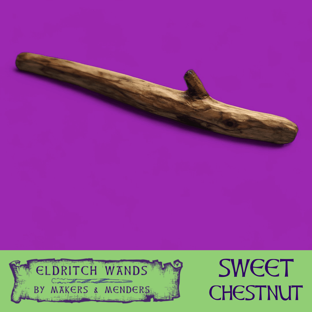 Wild Privet Eldritch Wand - 39cm long — Makers & Menders