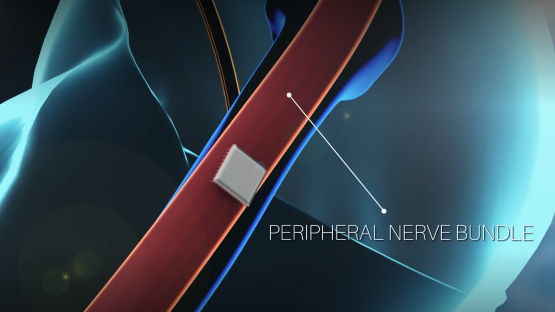 Technology — Biologic Input Output Systems, Inc