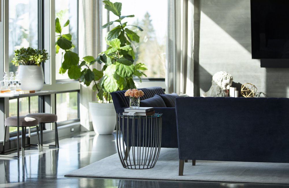 Plush Couture Interiors