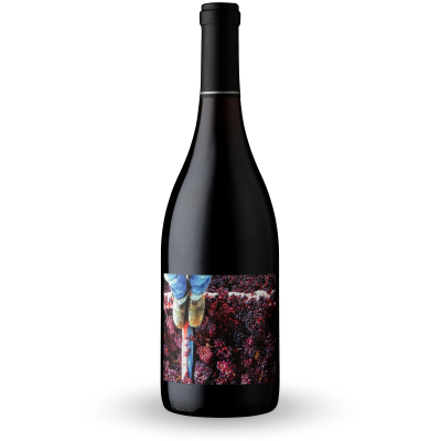 Halter Ranch Tasting Notes | Halter Ranch Wines