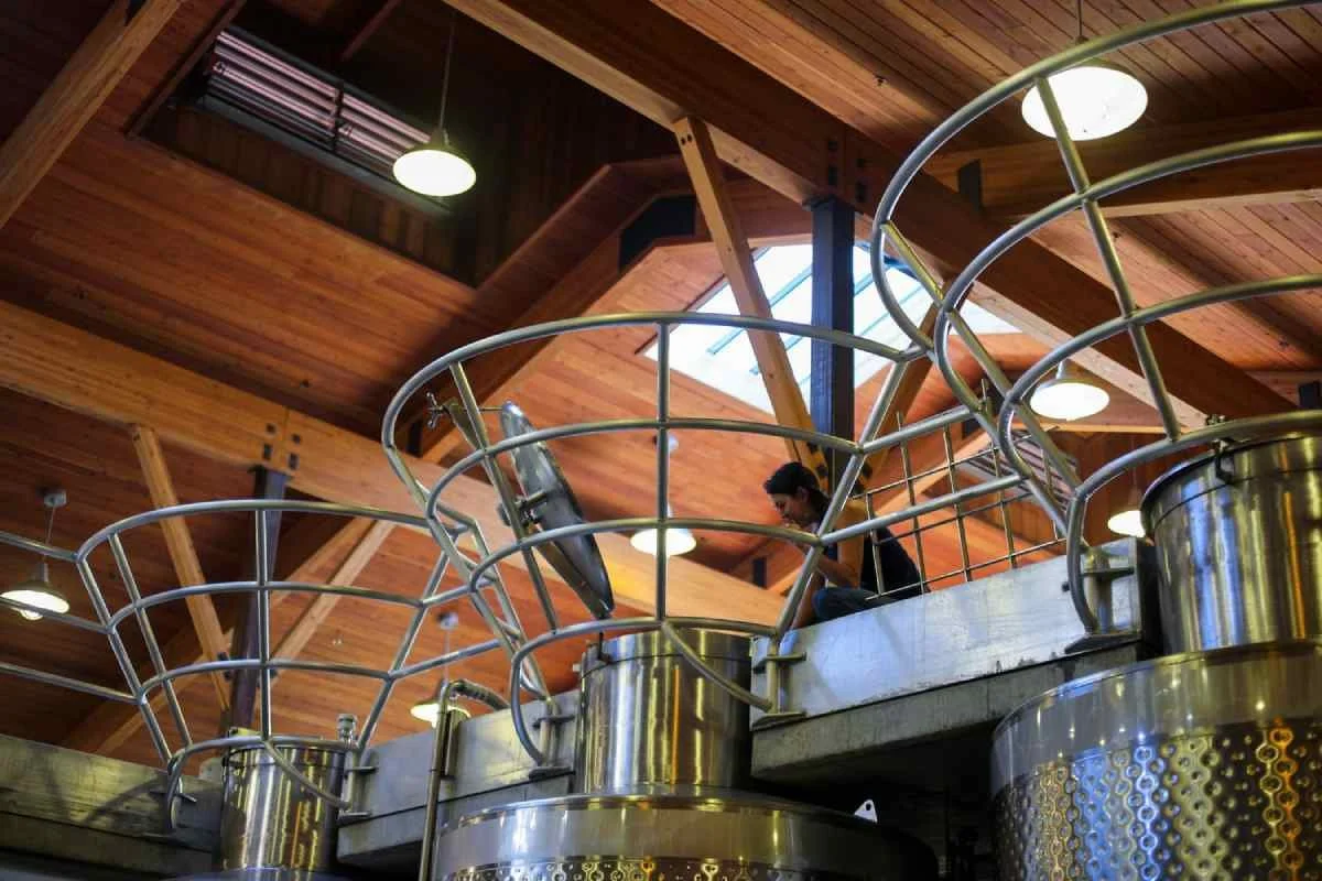 Paso Robles Wine Tours | Halter Ranch Wines