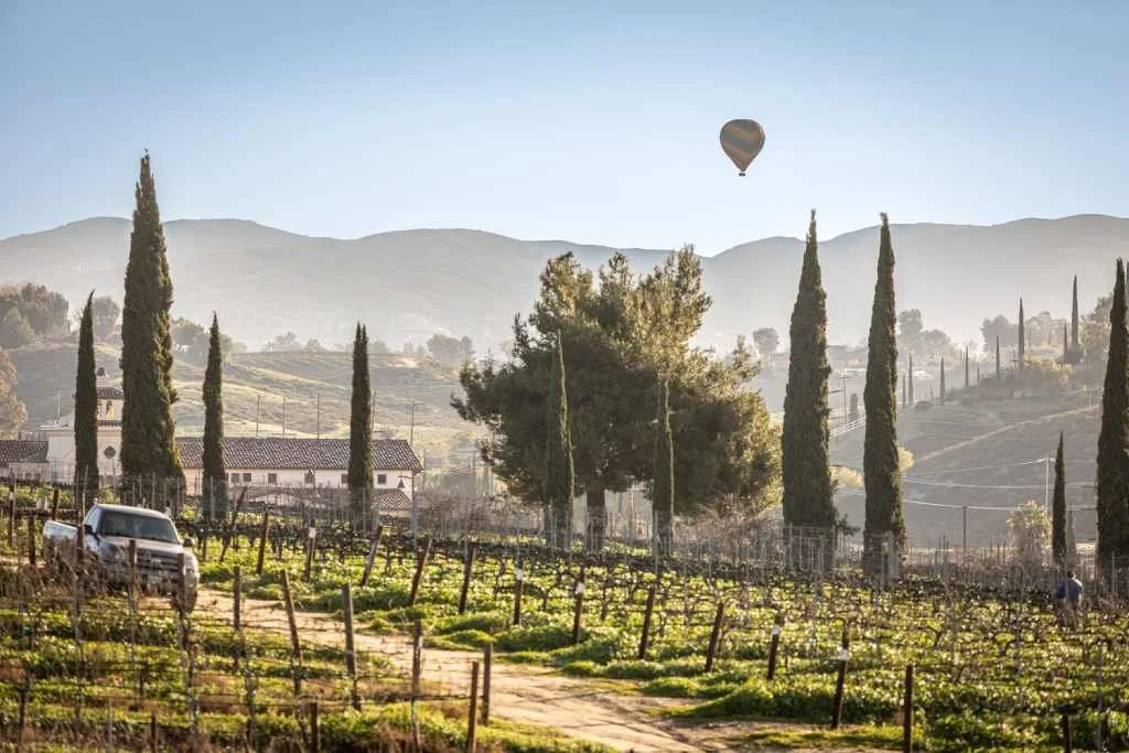 Visit Halter Ranch | Halter Ranch Wines