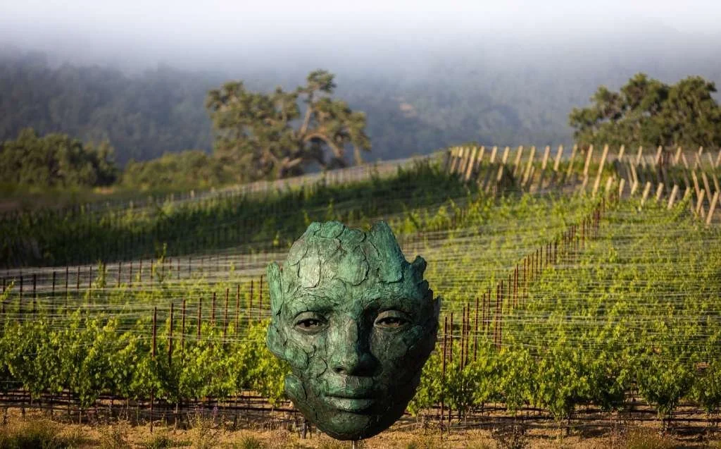 Estate Tasting Room at Paso Robles | | Halter Ranch Wines