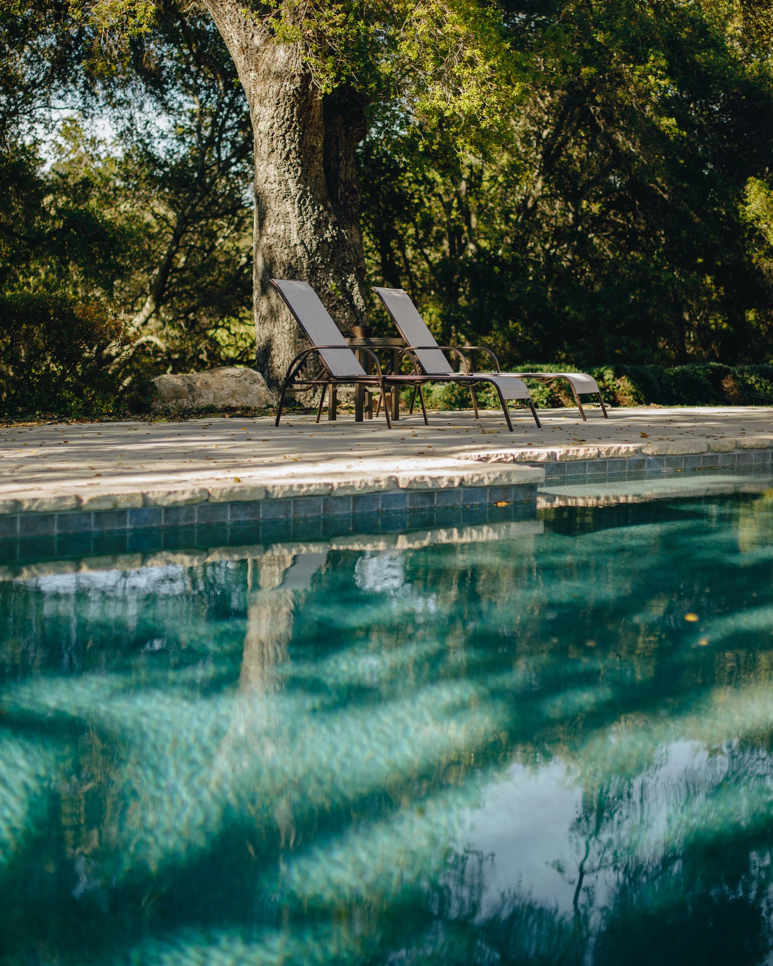 Paso Robles Winery | Halter Ranch