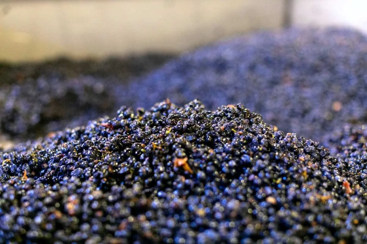 Temecula Winery | Temecula Wine Tasting | Halter Ranch Wines