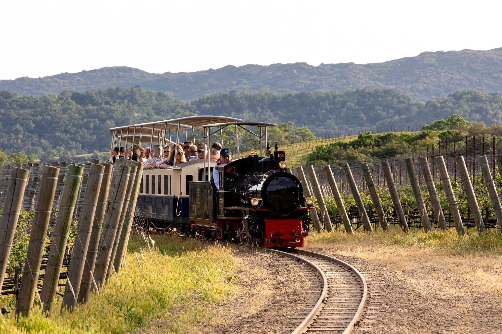 Paso Robles Wine Tours | Halter Ranch Wines