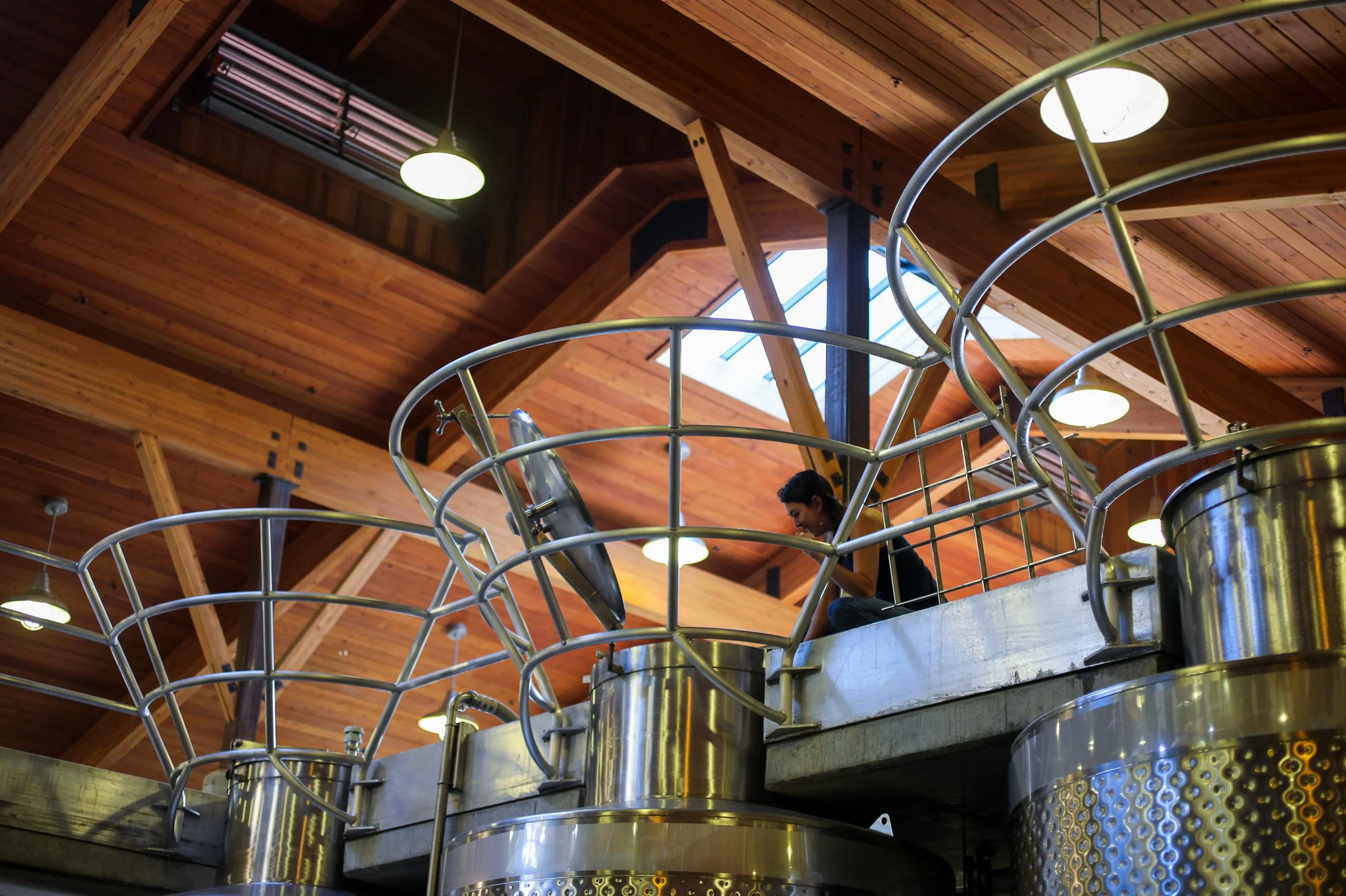 Paso Robles Wine Tours | Halter Ranch Wines