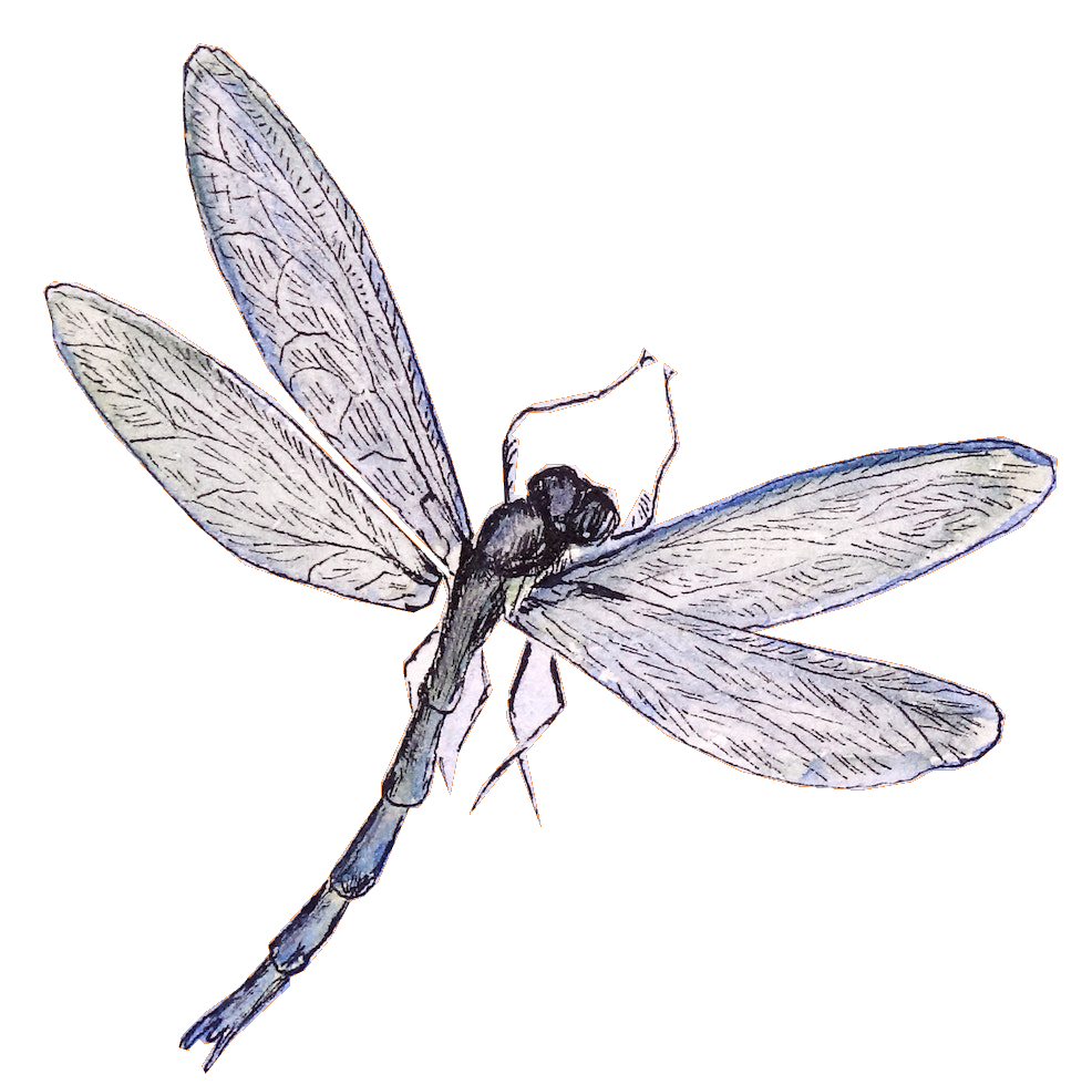 About Halter Ranch | Halter Ranch Wines