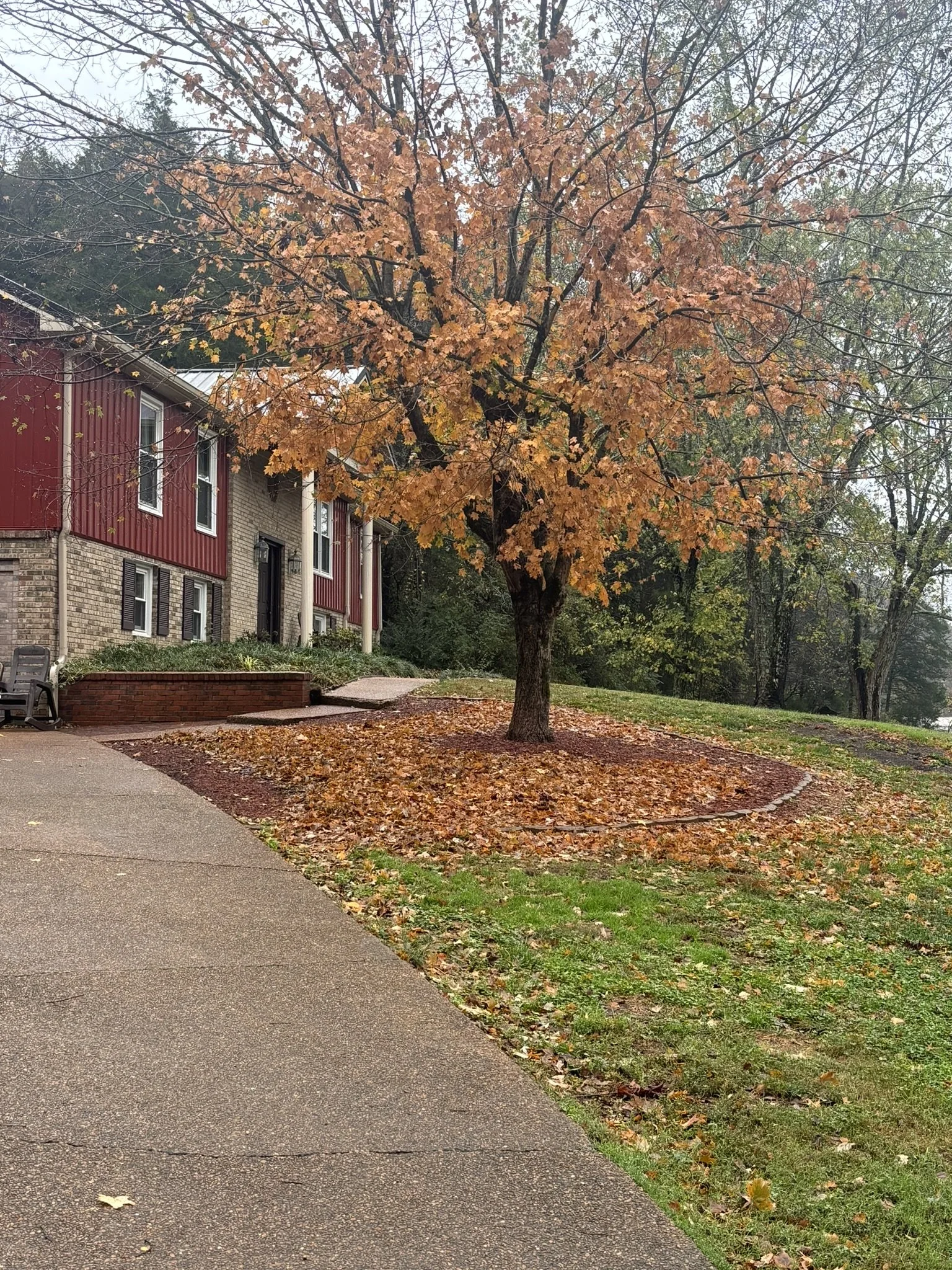 H.U.S.T.L.E. Recovery