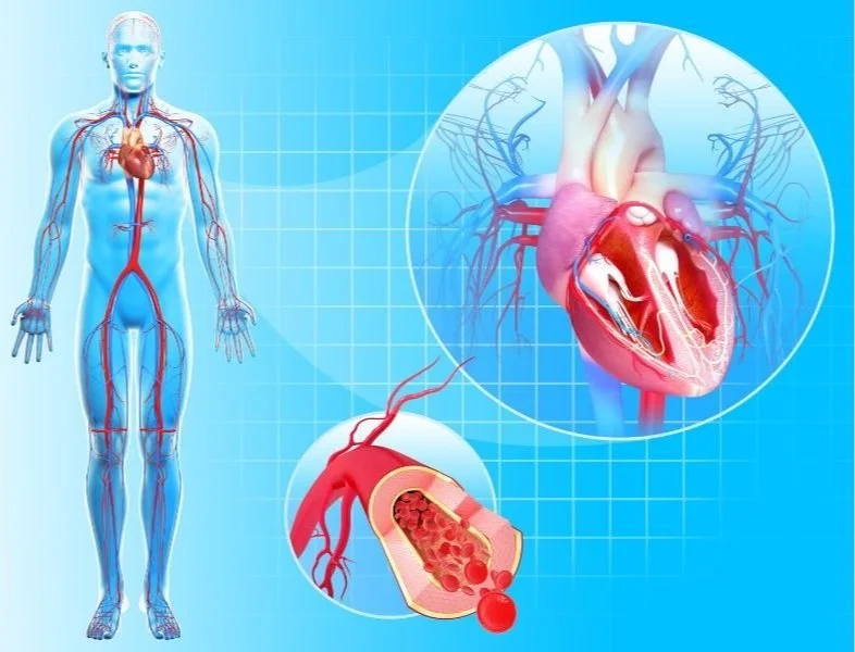 The Healing Touch: How Therapeutic Massage Aids Injury Rehabilitation ...