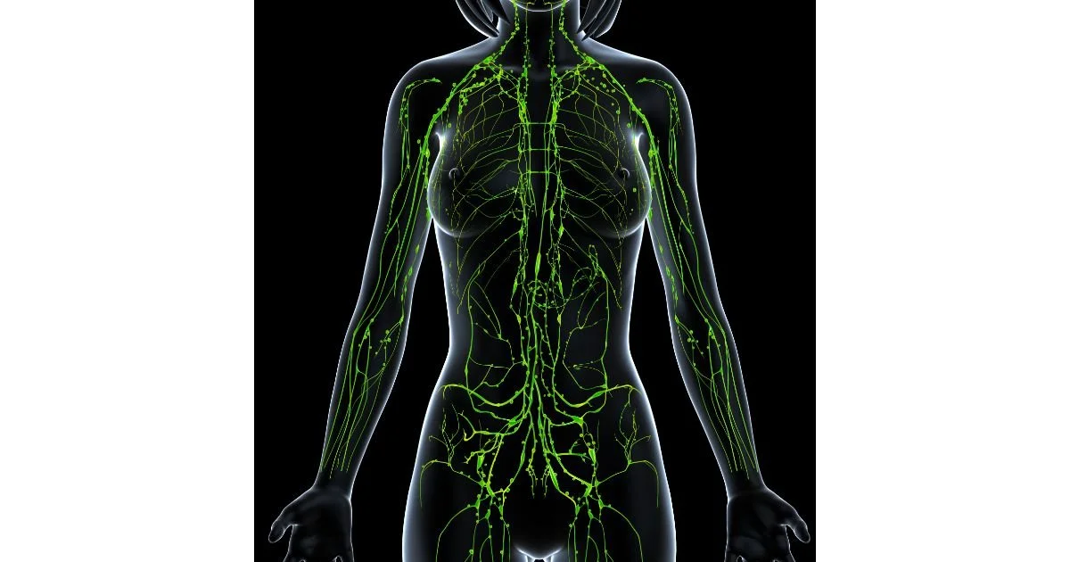 The Magic of Lymphatic Drainage Massage: Why You Should Try It Today ...