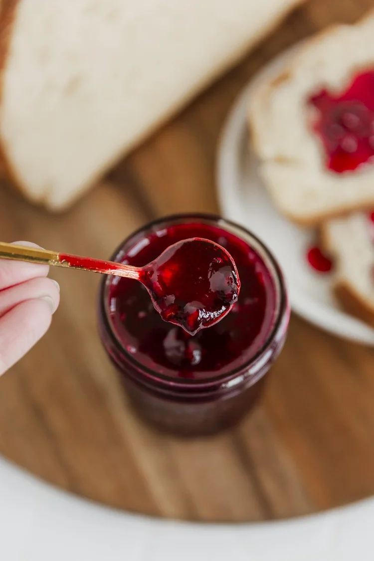 Pomegranate Jam From Seeds — THE MOD DAISY