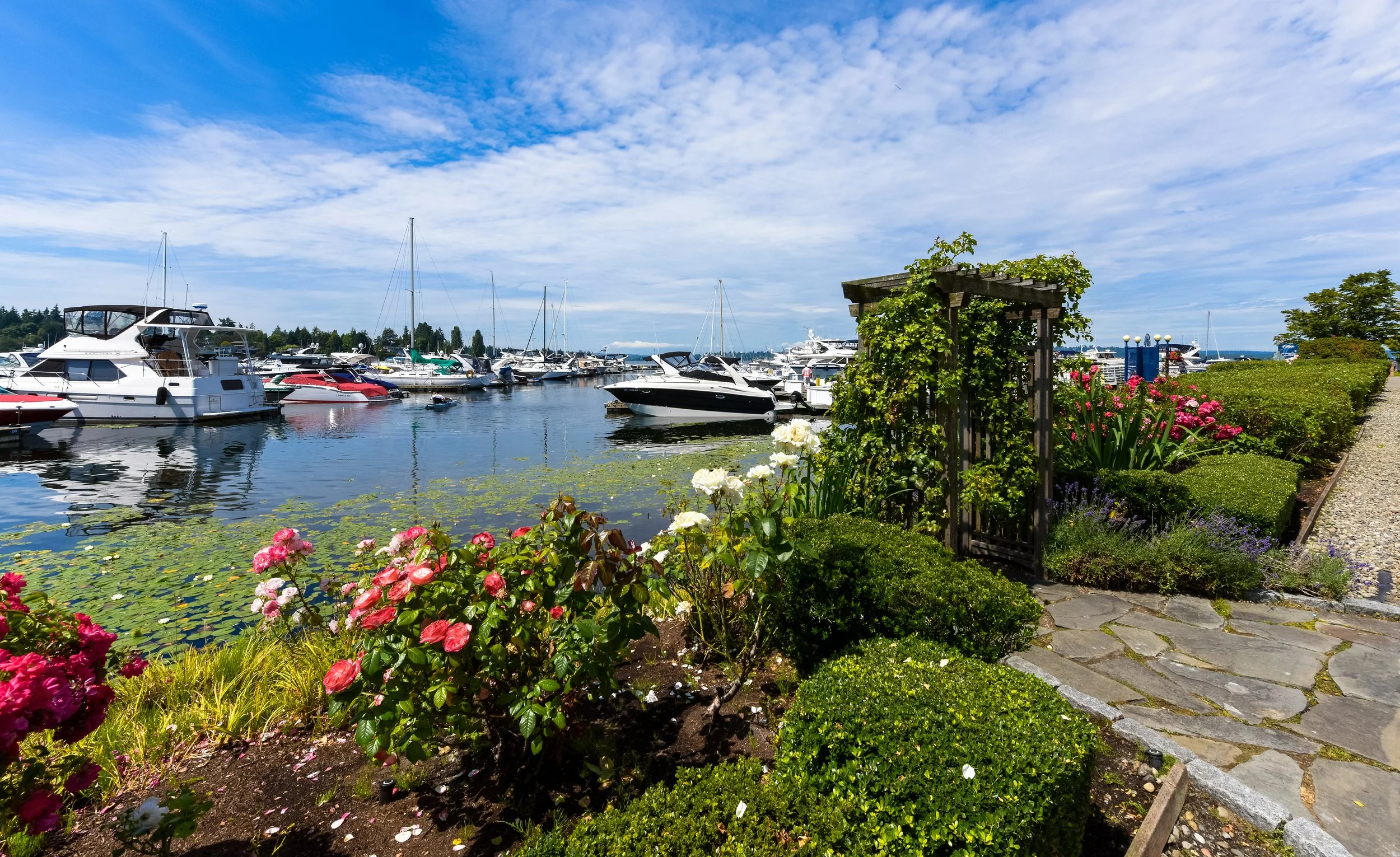 Marina — Carillon Point