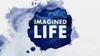 Imagined Life — Dennis Hensley