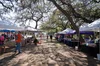 Bulverde Market Day