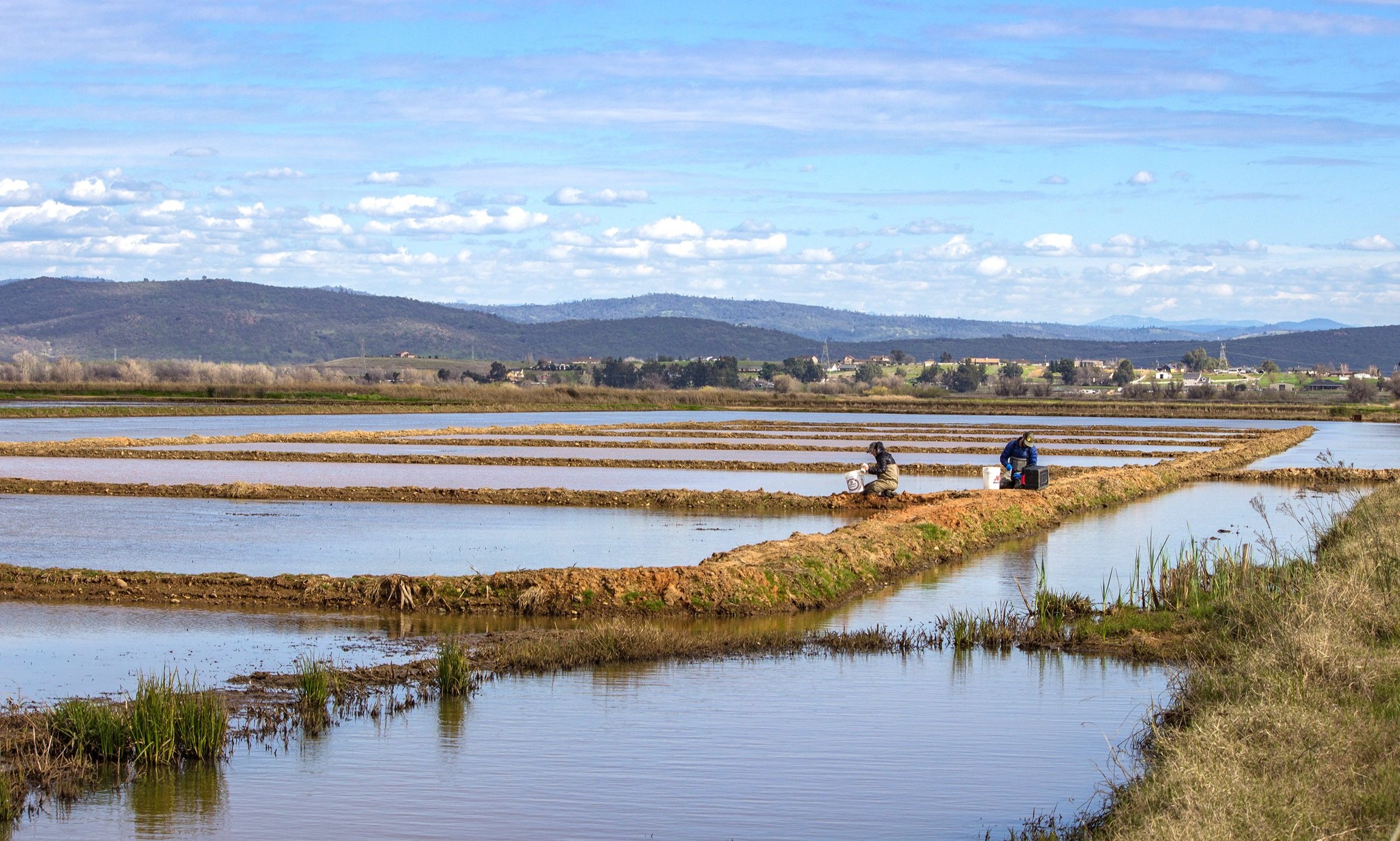 Resource Renewal Institute | Act Now for Nature